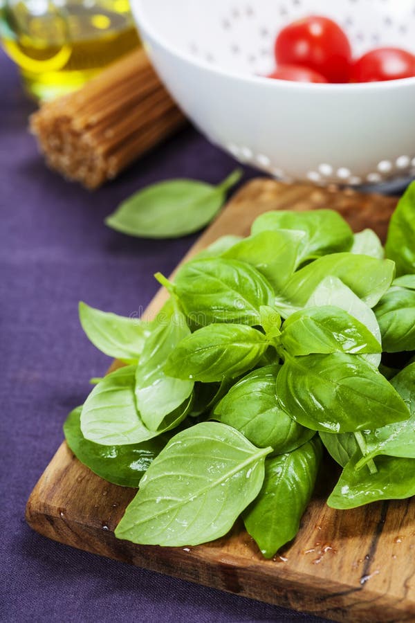 Fresh Basil and Ingredients Stock Image - Image of culture, color: 32866517