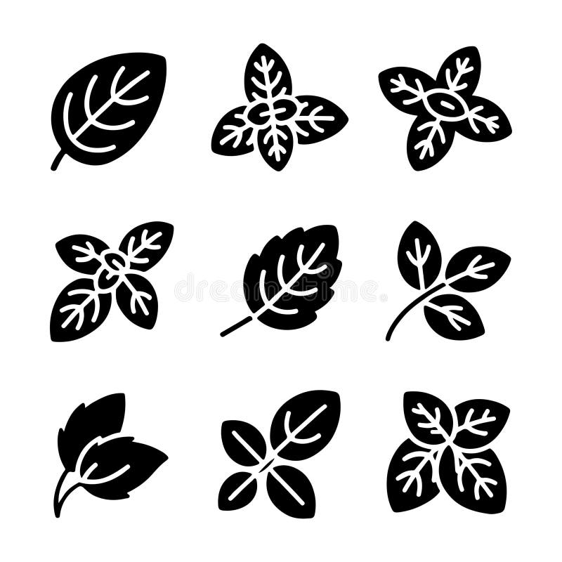 Fresh Basil Leaf Outline Icons Stock Vector - Illustration of shapes ...