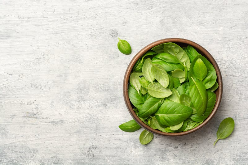 Fresh Basil Leaves in Ceramic Bowl on Concrete Background Stock Photo ...