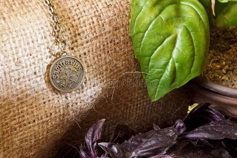 Fresh Basil Leaves and a Sign of the Zodiac Stock Photo - Image of herb ...