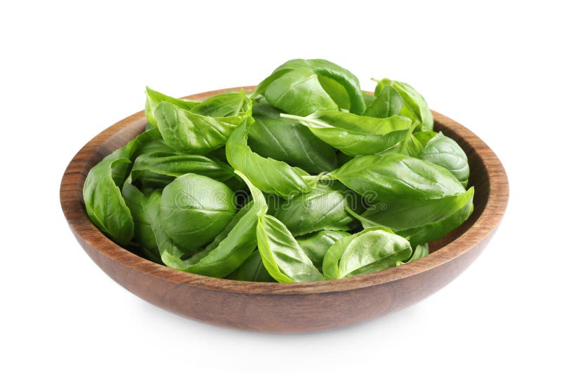 Fresh Basil Leaves in Wooden Bowl Isolated on White Stock Photo - Image ...