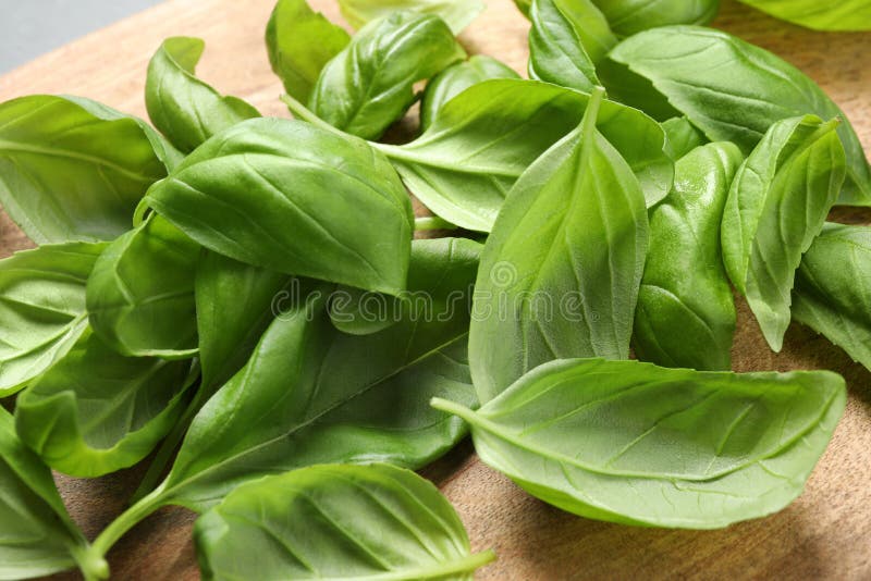Fresh Basil Leaves on Wooden Table Stock Photo - Image of cooking ...