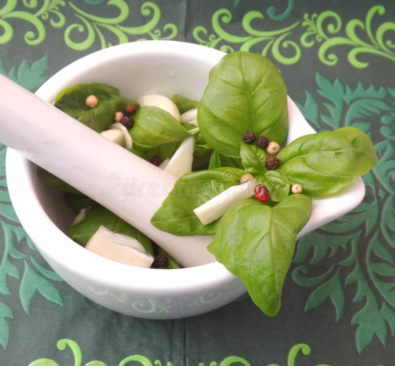 Fresh Basila Stock Photos - Free & Royalty-Free Stock Photos from ...