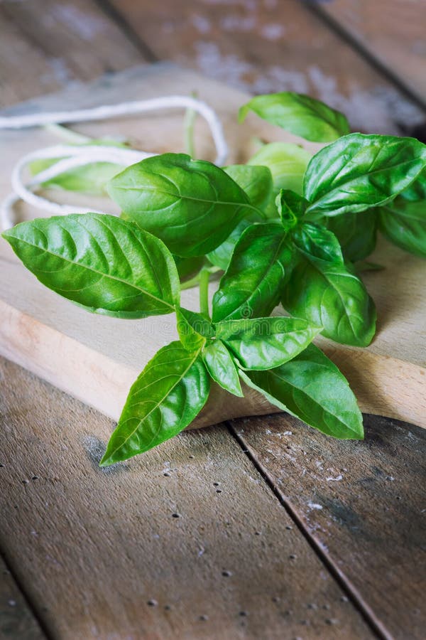 Fresh Basil on Wooden Table Stock Image - Image of leaves, herb: 31948499