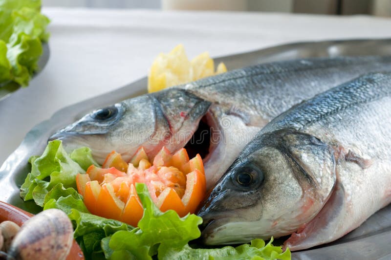 Fresh bass fish stock photo. Image of launch, fresh, bass - 4256490