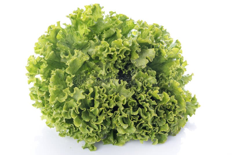 Fresh batavia salad stock image. Image of leaf, agriculture - 68655117