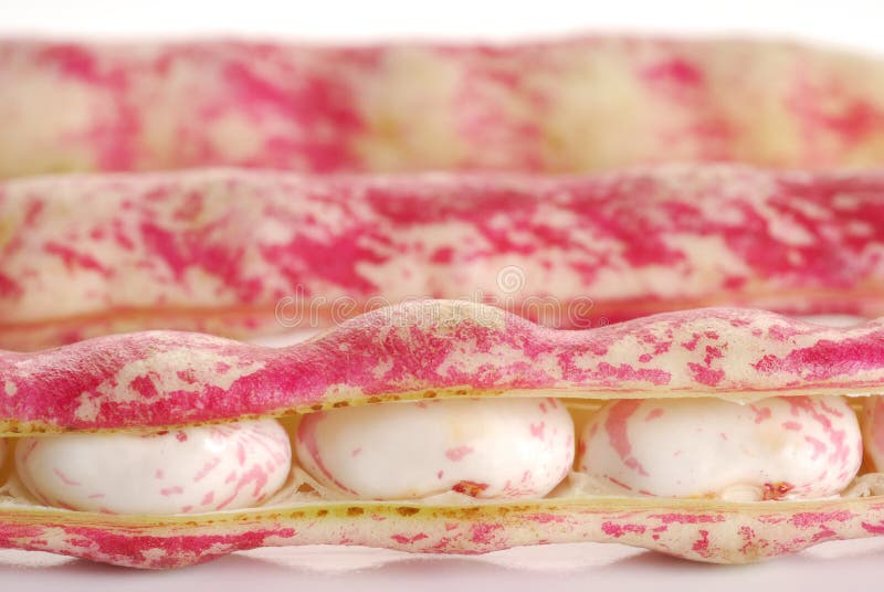 Fresh Bean in Pod stock image. Image of closeup, close - 11078179