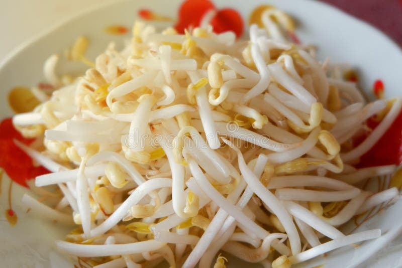 Fresh Bean sprout stock photo. Image of soup, yellow - 97126224