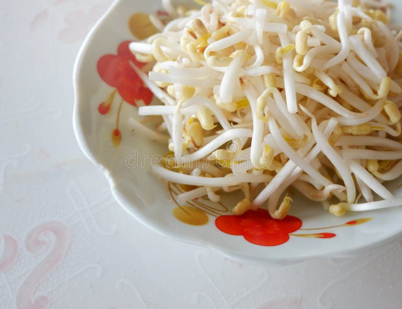 Fresh Bean Sprouts with Roots that Have Not Been Removed Stock Image ...