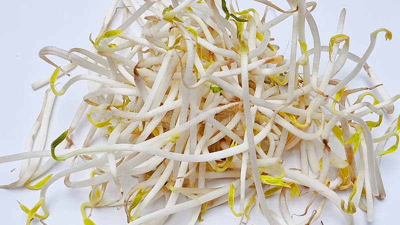 Fresh Bean Sprouts or Tauge Isolated on a White Background. Stock Image ...