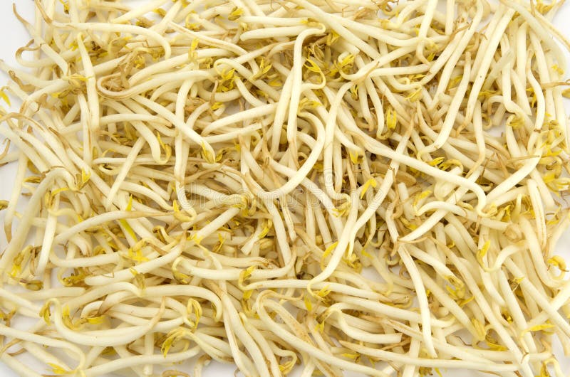 Fresh bean sprouts. stock image. Image of asian, crop - 36664833