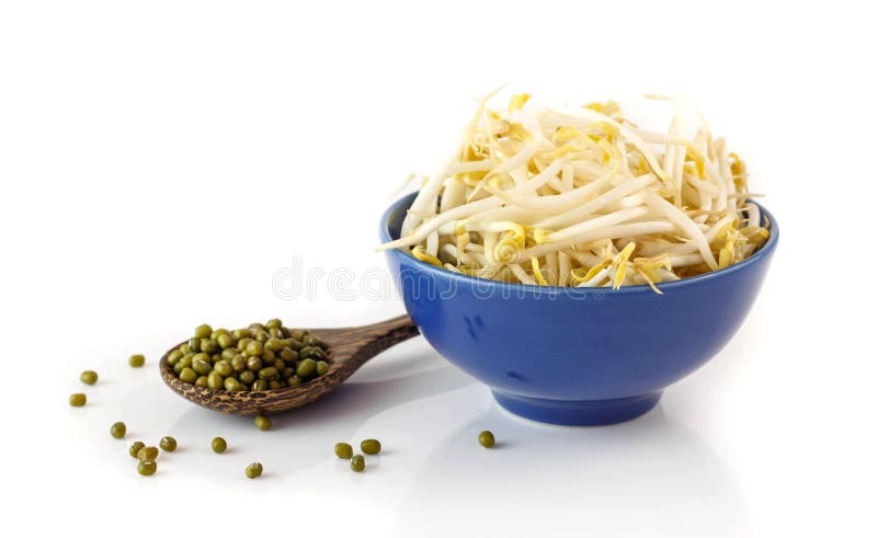 Fresh Bean Sprouts stock image. Image of asian, sprout - 2302303