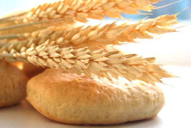 Fresh Beautiful Biscuits with Stock Image - Image of bread, homemade ...