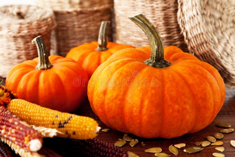 Fresh beautiful pumpkins stock image. Image of natural - 34430701