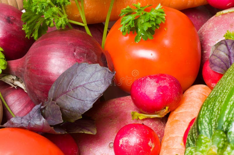 Fresh Beautiful Vegetables. Stock Photo - Image of dietary, celery: 7377288