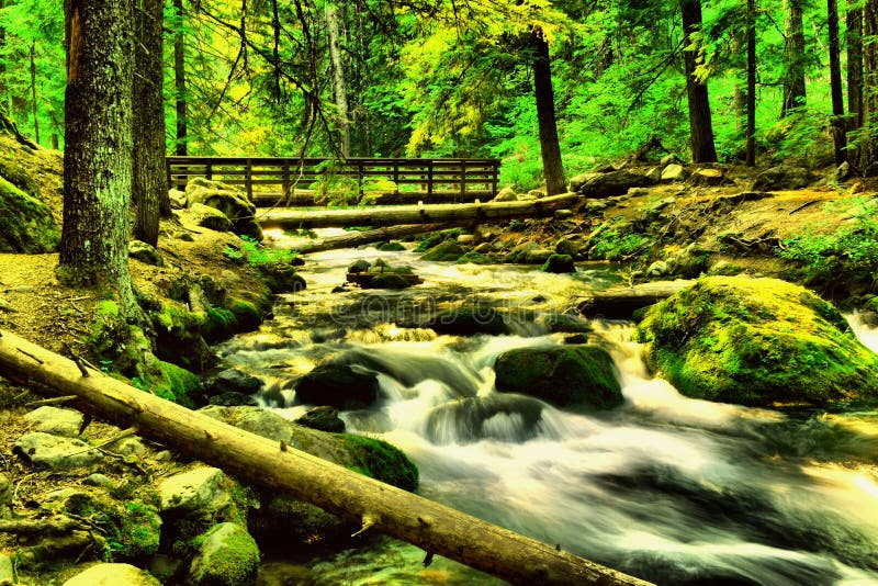 The fresh beauty of water. stock image. Image of water - 112769725