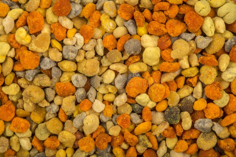 Fresh bee pollen stock image. Image of honey, fresh, food - 37036361