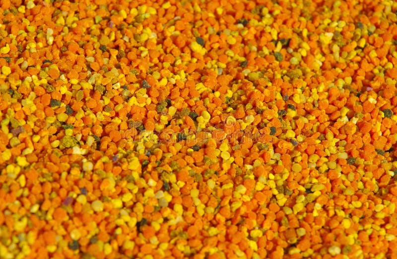 Fresh bee pollen stock photo. Image of ingredient, dietary - 46215712
