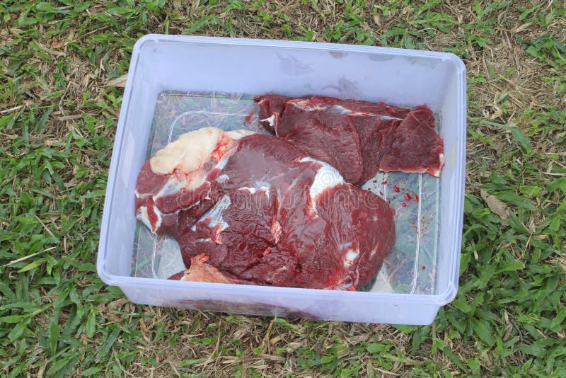 Fresh beef in box stock image. Image of beef, package - 265168461