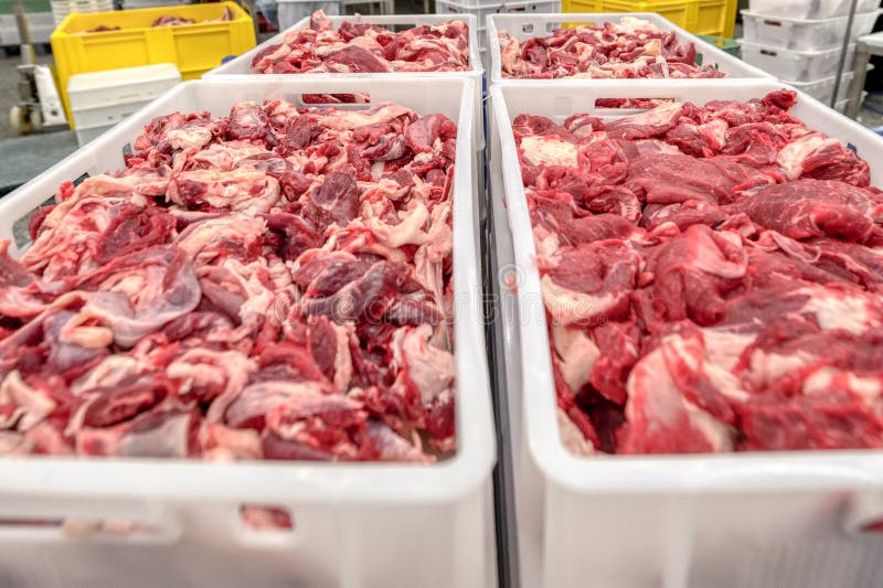 Fresh Beef. Meat Cut into Large Pieces Stock Image - Image of machine ...