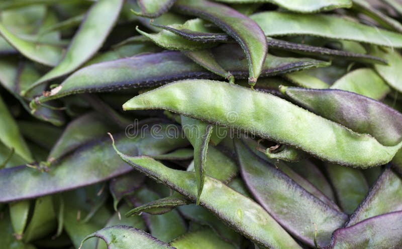 Beens stock photo. Image of nutrition, background, vegetables - 43130904