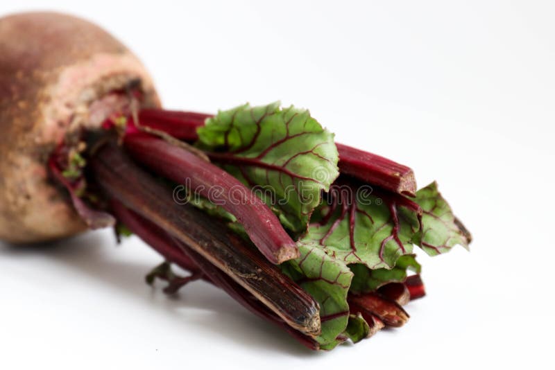 Fresh Beet Root on White Background Stock Image - Image of freshness ...