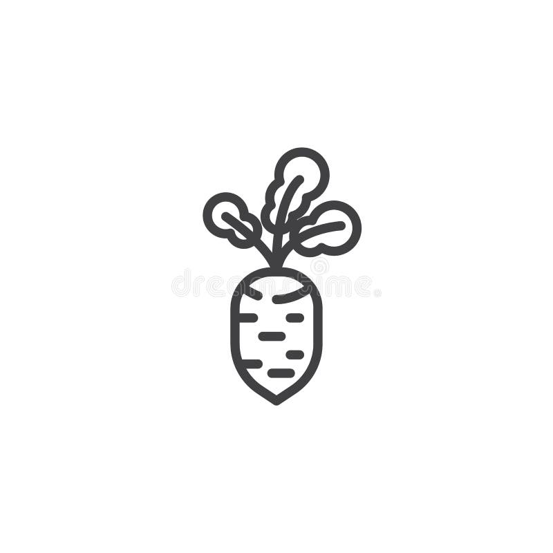 Beetroot outline sketch stock vector. Illustration of hand - 286448307