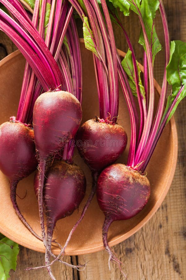 Thai Spa massage 1 stock image. Image of yoga, laying - 8836825