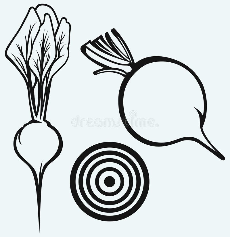 Fresh Beetroot Icon, Outline Style Stock Vector - Illustration of black ...
