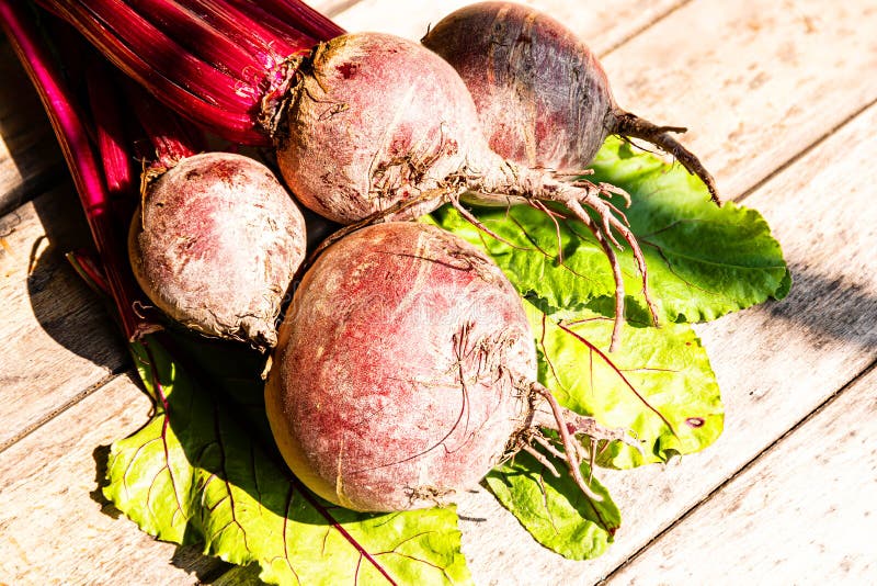 Fresh Beetroot with Lots of Vitamin C Stock Image - Image of ...
