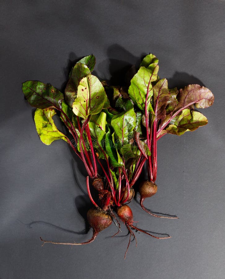 Fresh Beetroot with Tops on a Black Background. a Vertical Frame with ...