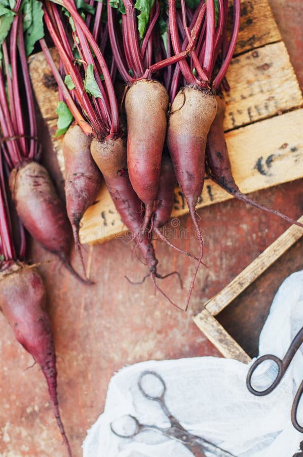 Fresh Beetroot on Wooden Surface. Fresh Picked Organic Beetroot Stock ...