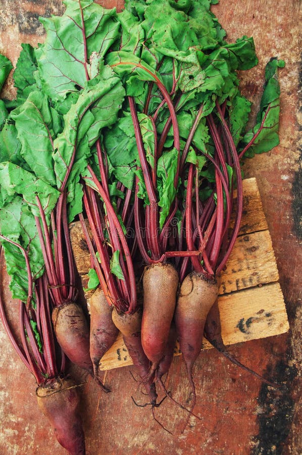 Fresh Beetroot on Wooden Surface. Fresh Picked Organic Beetroot Stock ...
