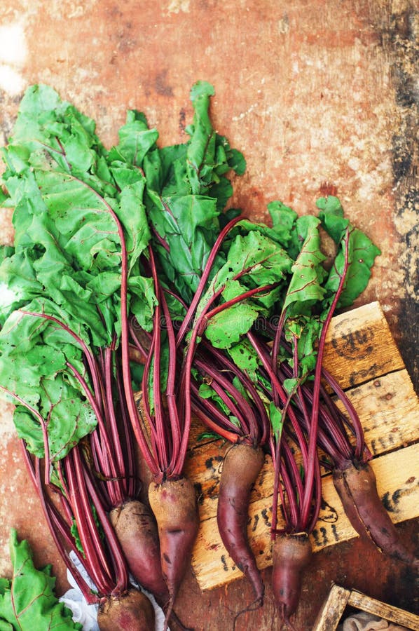 Fresh Beetroot on Wooden Surface. Fresh Picked Organic Beetroot Stock ...
