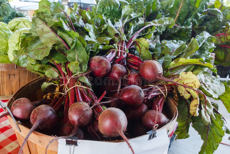 Fresh Beets at a Produce Stand Stock Image - Image of yellow, natural ...