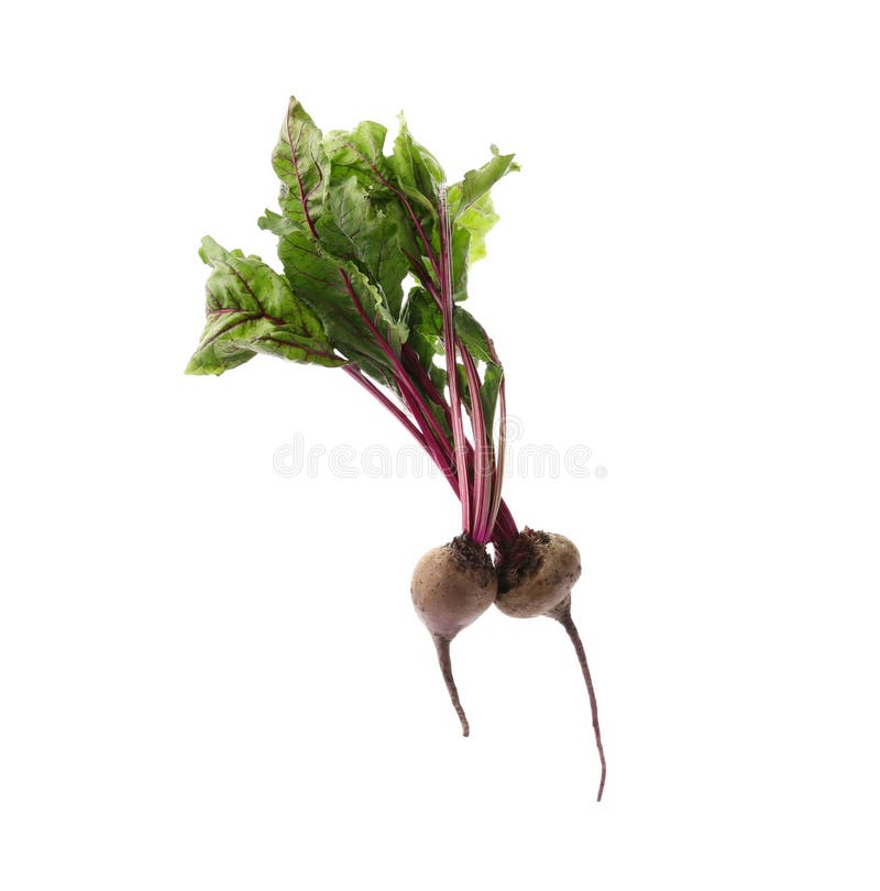 Fresh Beets with Leaves on White Stock Photo - Image of food, juicy ...