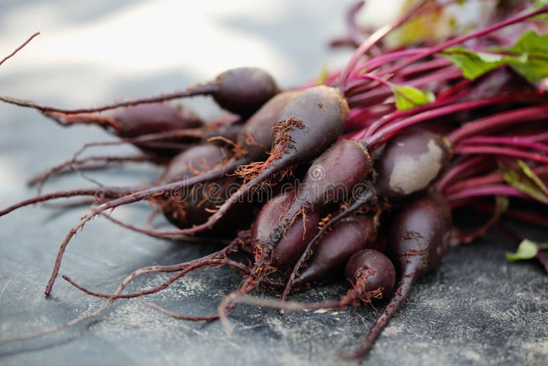 Fresh Beets with tops stock image. Image of healthy - 112749907