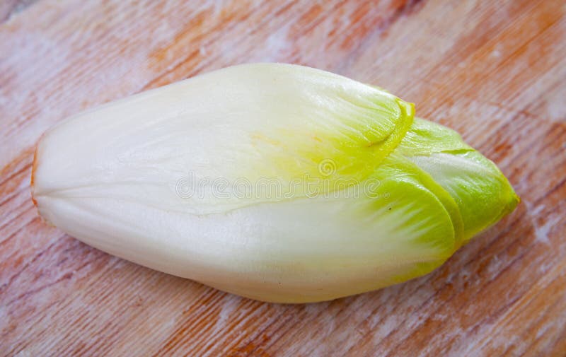 Fresh Belgian Endive Head on Wooden Surface Stock Image - Image of ...