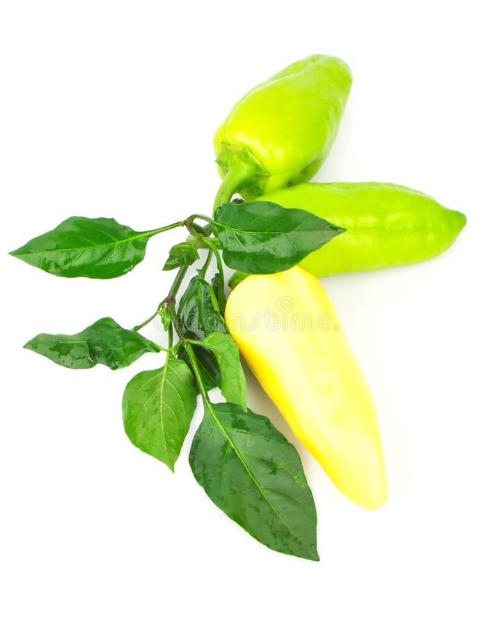 Fresh bell pepper stock image. Image of bell, pepper - 26423275