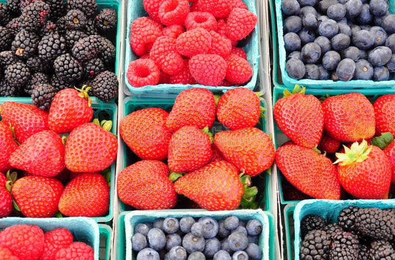 Fresh berries stock photo. Image of health, juicy, berries - 15867506