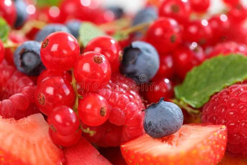 Fresh berries stock photo. Image of afters, colorful - 18885314