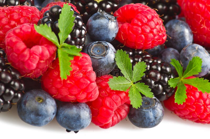 Fresh berries stock image. Image of bright, dessert, backdrop - 25909799