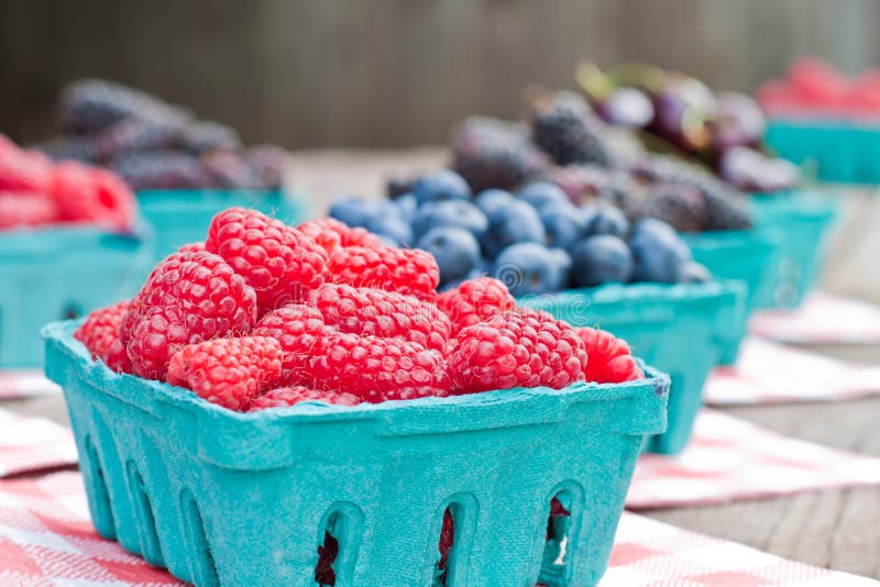 Fresh Berries stock image. Image of agriculture, blue - 28300127