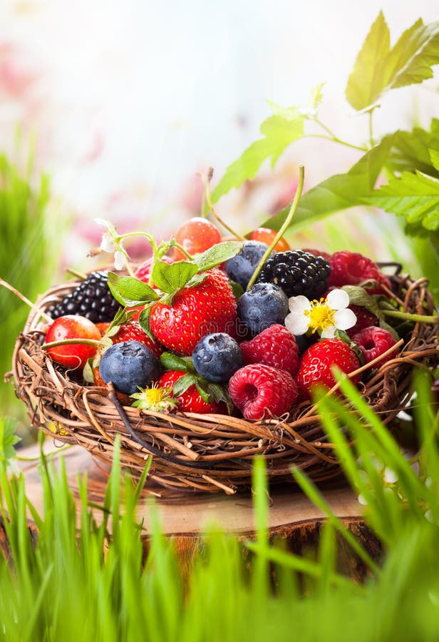 Fruits in a basket stock photo. Image of strawberries - 19554666