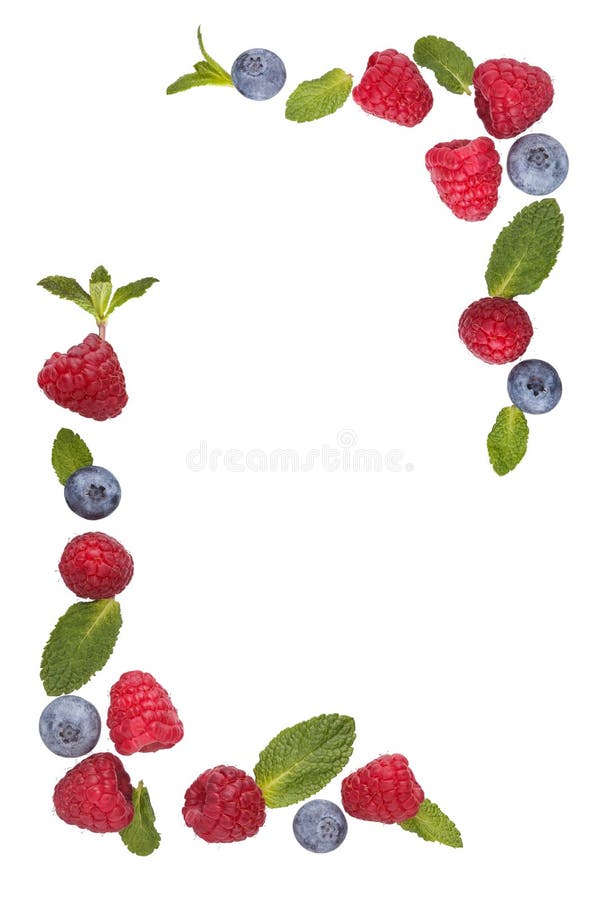 4,471 Fresh Berries Border Stock Photos - Free & Royalty-Free Stock ...