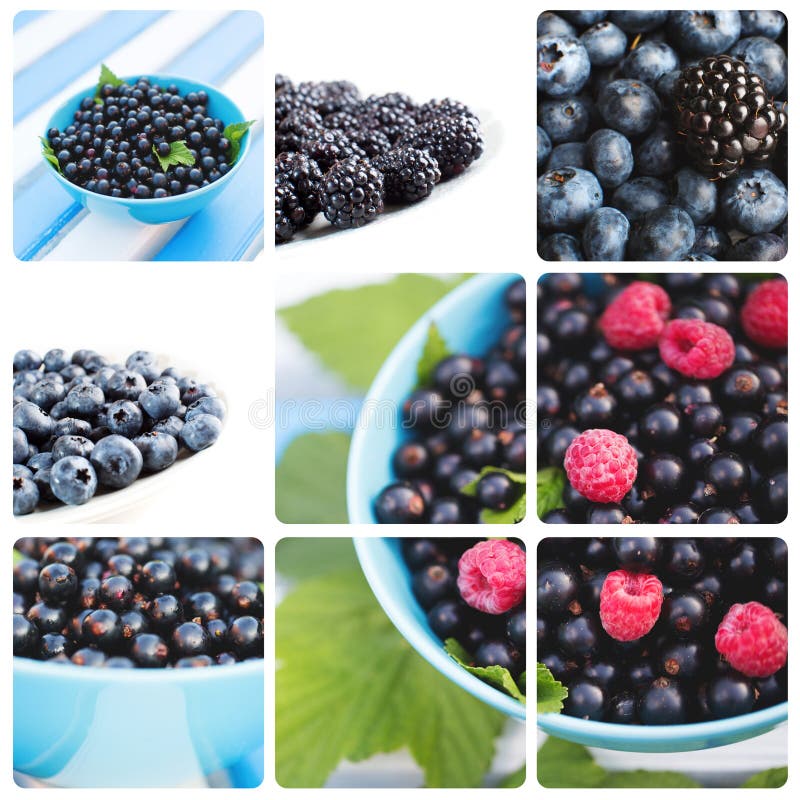 Berries collage stock photo. Image of raspberry, summer - 20639074
