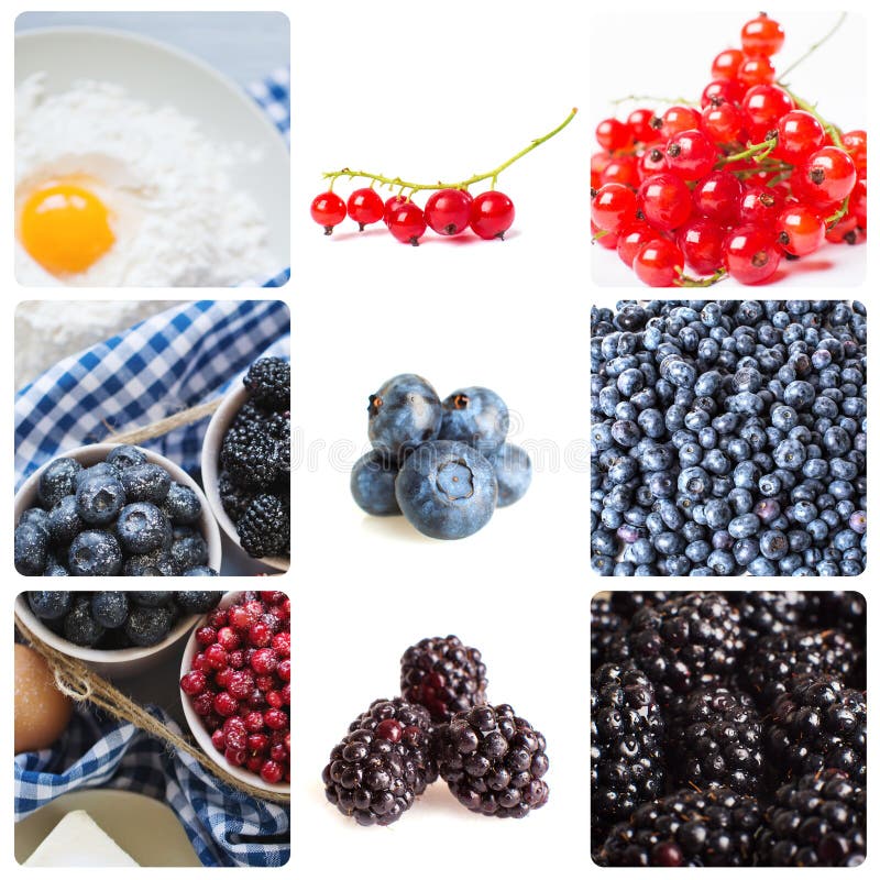 Berries collage stock photo. Image of raspberry, summer - 20639074