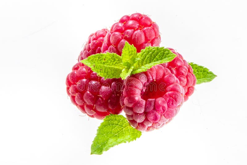 Fresh berries isolate stock photo. Image of group, collection - 250484160