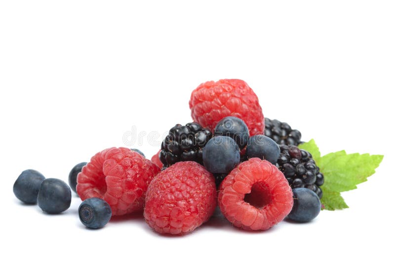 Fresh berries isolated stock image. Image of healthy - 10884043