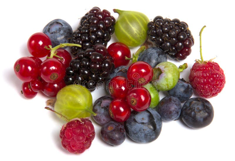 Fresh berries isolated stock photo. Image of fruits, bilberry - 32381590
